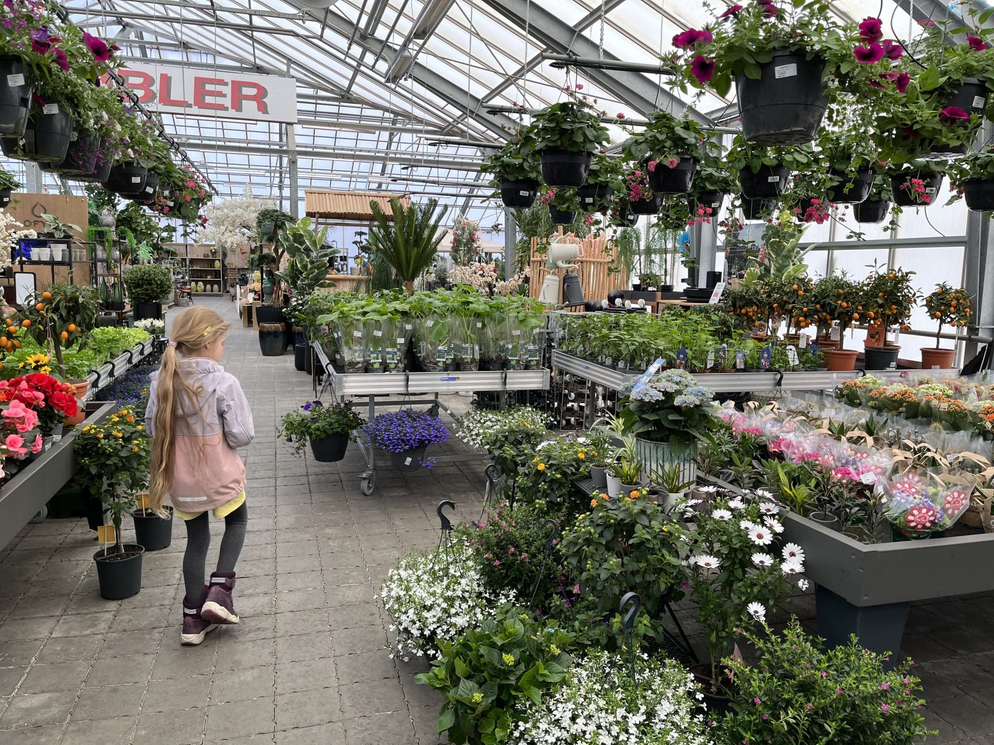 Sommerblomster - Plantebørsen